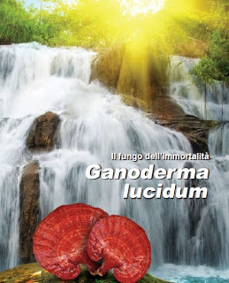 Organo Gold di Anna Maria Barrale: Ganoderma Lucidum, il fungo dell ...